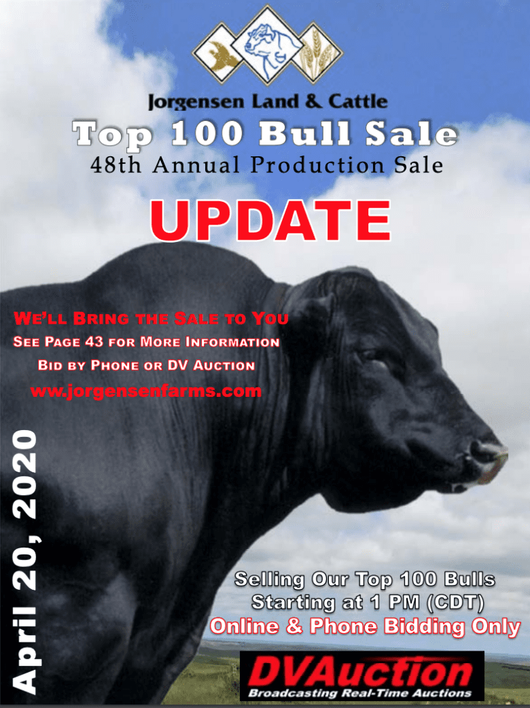 Top 100 Bull Sale - Jorgensen Land & Cattle