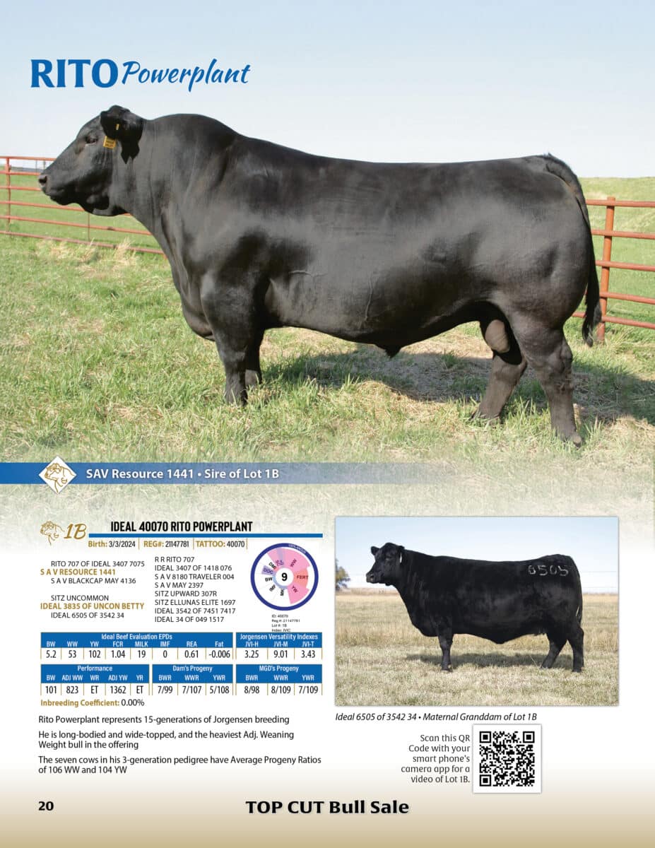 Lot 1B | Ideal 40070 - Jorgensen Land & Cattle